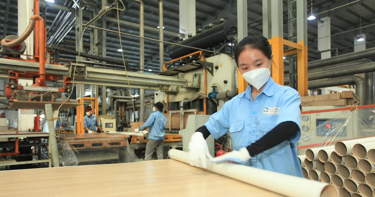 Gỗ An Cường (ACG) dự kiến phát hành 14,9 triệu cổ phiếu trả cổ tức năm ...