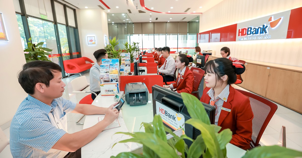 HDBank (HDB) báo lãi năm 2022 vượt 10.200 tỷ đồng, thu nhập dịch vụ ...