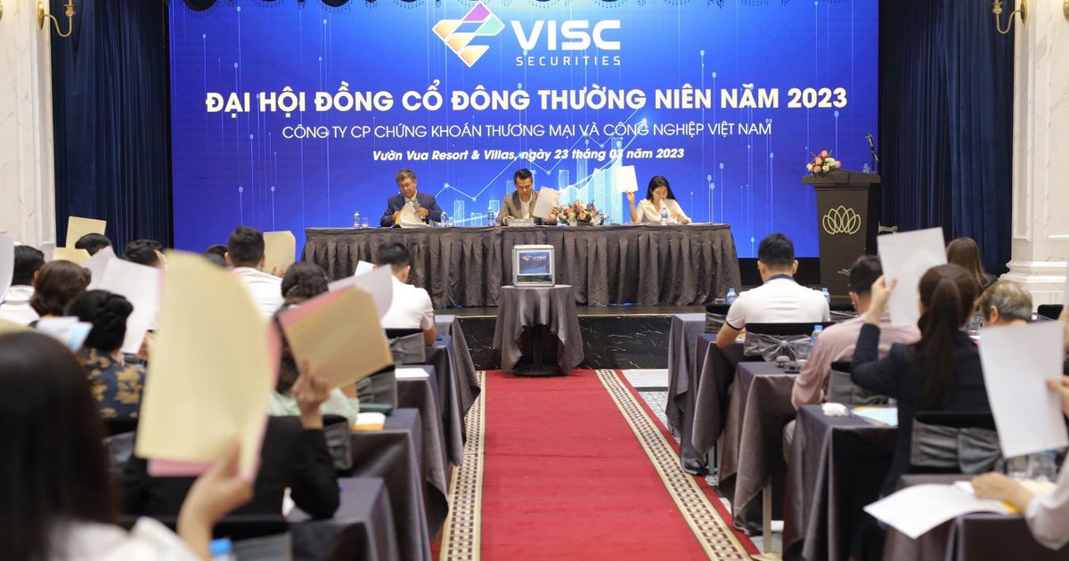 ĐHCĐ 2023 Chứng khoán VISC (VIG): Đổi tên, phát hành 50 triệu cổ phiếu ...