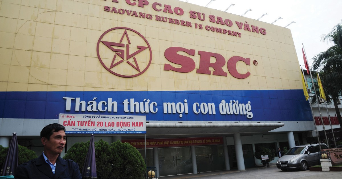 Cao su Sao Vàng (SRC): Kinh doanh đi xuống, cổ phiếu thăng hoa | Tin ...