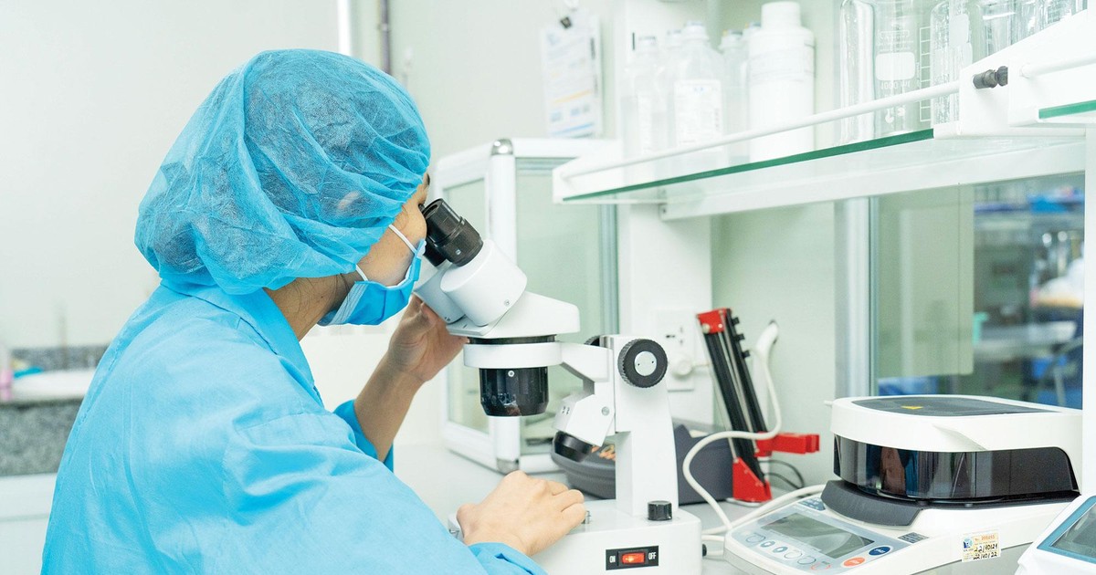 VMED Group: Hiện thực hóa giấc mơ chăm sóc sức khỏe kiểu mới | Tin ...