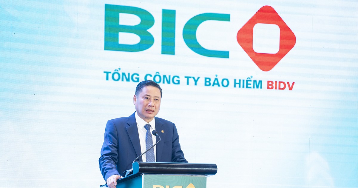 Năm 2023, BIC có mức tăng trưởng doanh thu cao nhất trong Top 10 công ty bảo hiểm phi nhân thọ ...