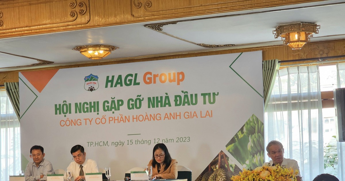 Hoàng Anh Gia Lai (HAG) dự kiến lãi tối thiểu 2.150 tỷ đồng năm 2023, mục tiêu xử lý lỗ luỹ kế ...