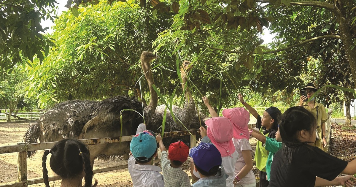 May “đồng phục” pháp lý cho farm-school | Tin nhanh chứng khoán