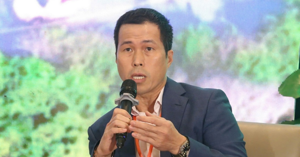 Ông Trường Bùi, CEO Roland Berger Việt Nam: 5 yếu tố để thu hút FDI qua ...