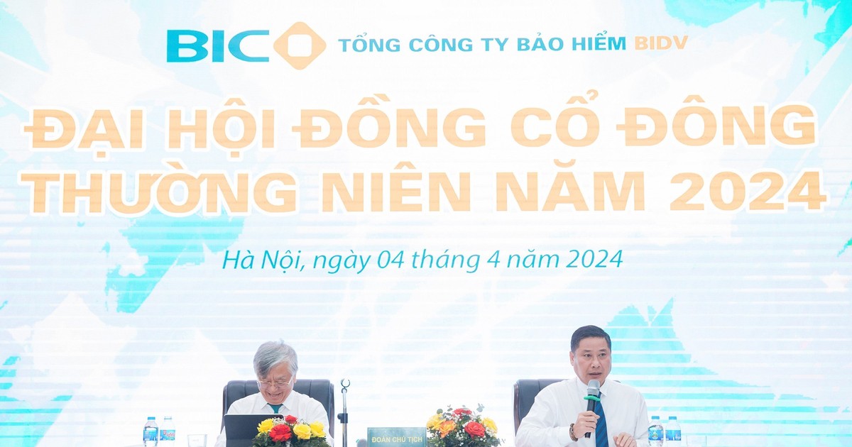ĐHCĐ năm 2024 Bảo hiểm BIDV (BIC): Tăng tỷ lệ cổ tức, bầu nhiều nhân sự mới | Tin nhanh chứng khoán