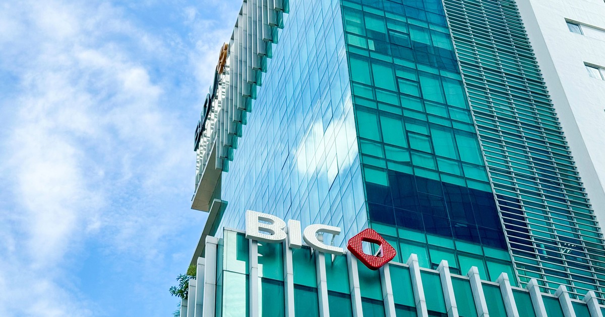 Lợi nhuận hợp nhất 6 tháng đầu năm của BIC tăng trưởng gần 20% | Tin ...