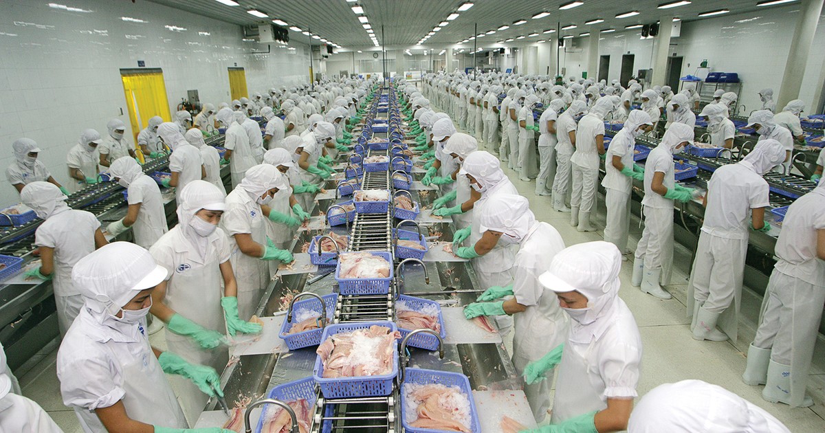 Vĩnh Hoàn (VHC) chốt quyền tạm ứng cổ tức 20% bằng tiền mặt | Tin nhanh ...