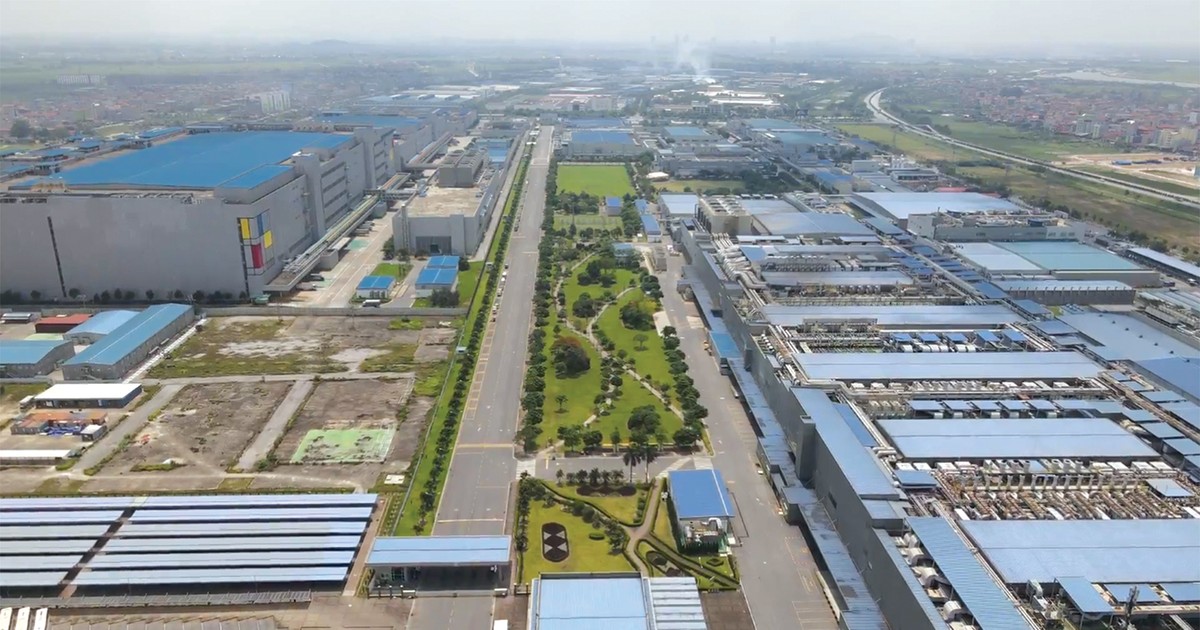 TDG Global lấn sân lĩnh vực mới | Tin nhanh chứng khoán