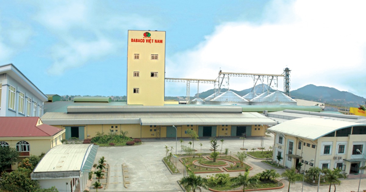 Dabaco (DBC) phát hành thêm hơn 80 triệu cổ phiếu ưu đãi, giá bán 15. ...