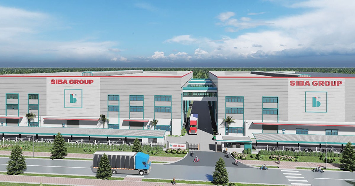 Cú trượt dài của tân binh Siba Group (SBG) | Tin nhanh chứng khoán