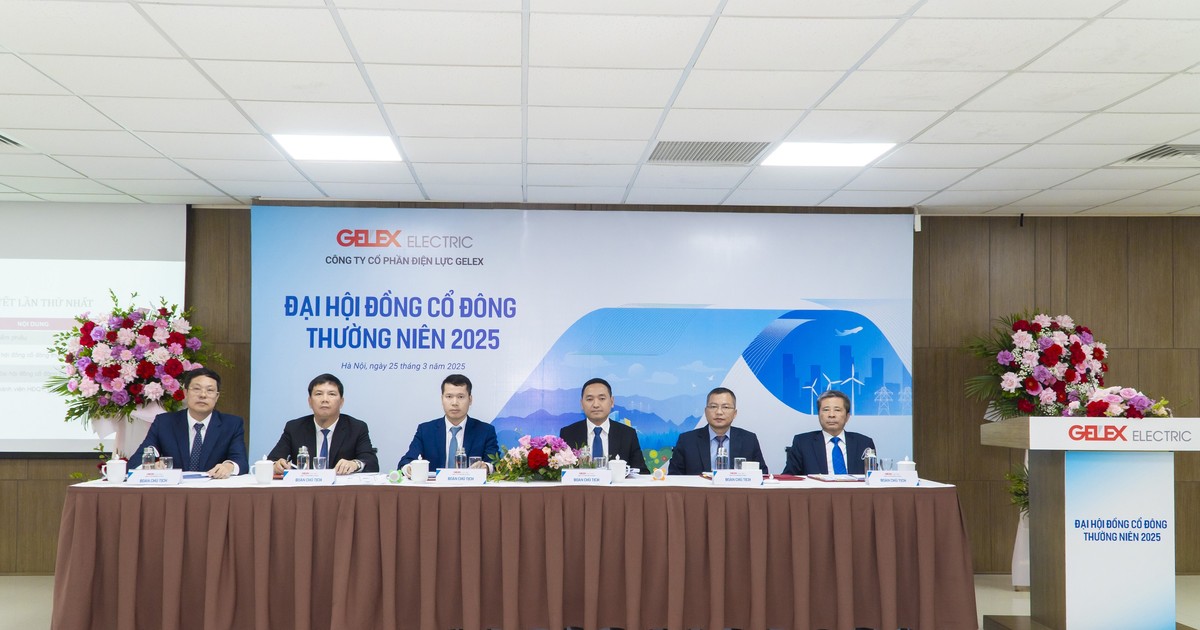 GELEX Electric (GEE) tham vọng chinh phục thị trường quốc tế bằng sản ...