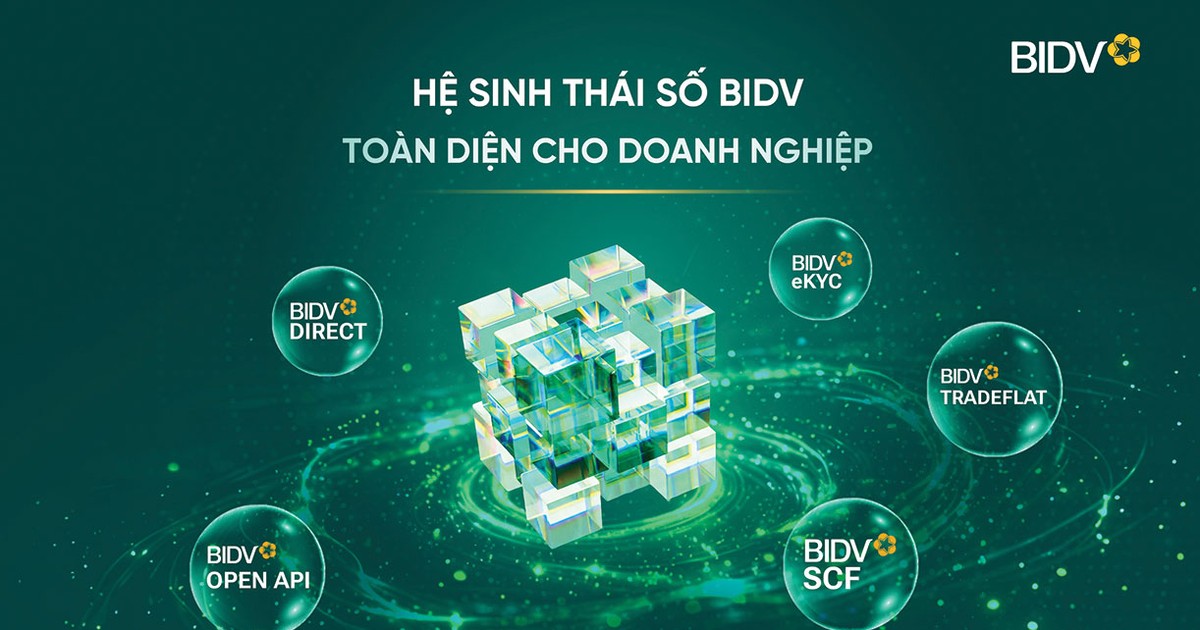 BIDV: Kiến tạo hạ tầng tăng trưởng cho doanh nghiệp | Tin nhanh chứng khoán